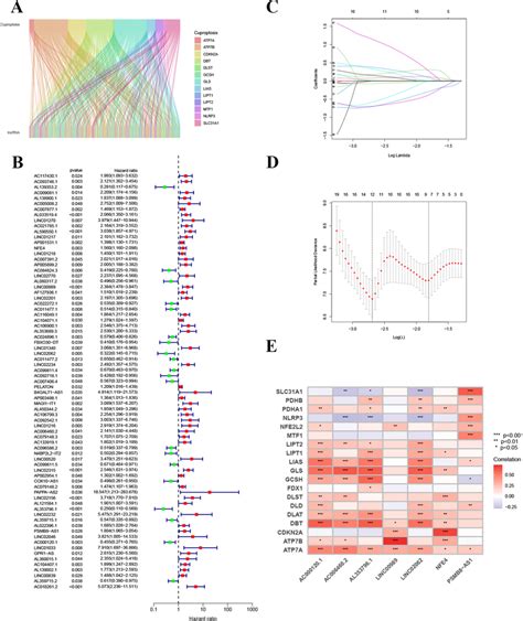 Identification Of Cuproptosis Related Lncrna Signatures A Sankey