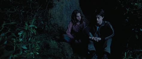 Harry Potter And The Prisoner Of Azkaban Harry Potter Image Fanpop
