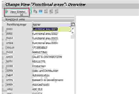 How To Define Functional Area In Sap