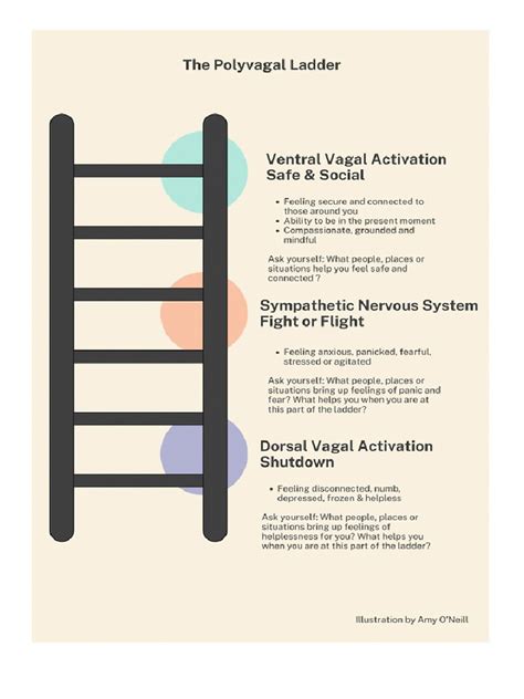 Polyvagal Ladder Pdf
