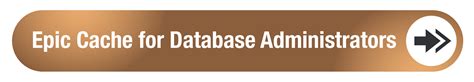 Understanding The Epic Cache Database Cornerstone Data Systems Inc Understanding The Epic Cache Database Cornerstone Data Systems Inc