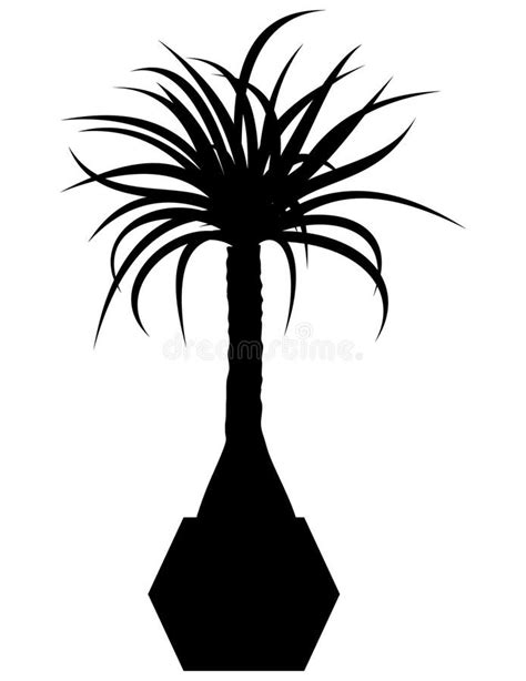 Silhueta Preta De Uma Planta Iucca Num Vaso Ou Vaso Isolado Ilustração