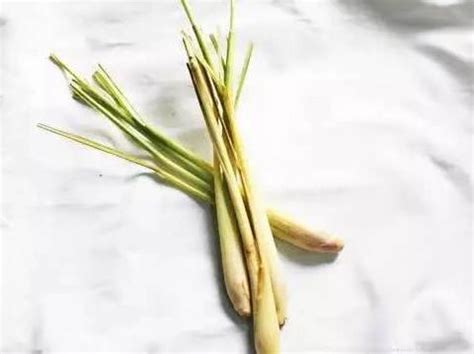 调味料香茅的用法附5个香茅使用小妙招