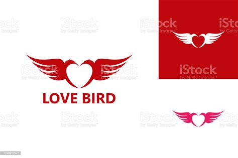 사랑 새 템플릿 디자인 벡터 엠블럼 디자인 개념 창조적 인 기호 아이콘 개념에 대한 스톡 벡터 아트 및 기타 이미지 개념 귀여운 깃털 Istock