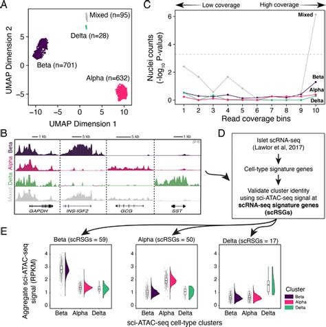 clustering and identification of cell type clusters in sci atac seq