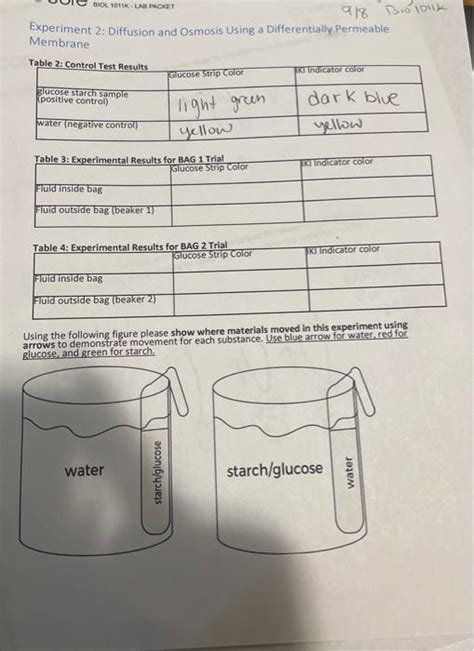 Experiment Diffusion And Osmosis Using A Chegg