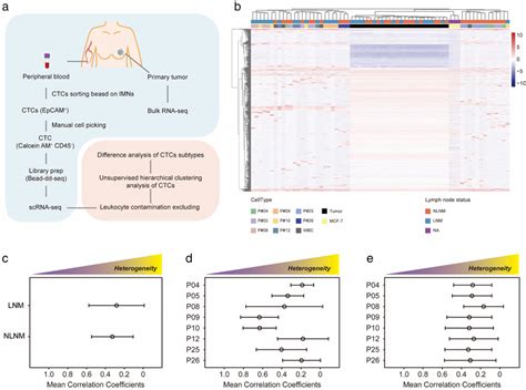 ScRNAseq Of Breast CTCs A An Overview Of The Workflow For Single Download Scientific