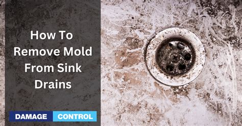 Black Mold In Bathroom Sink Drain Gas Furnace