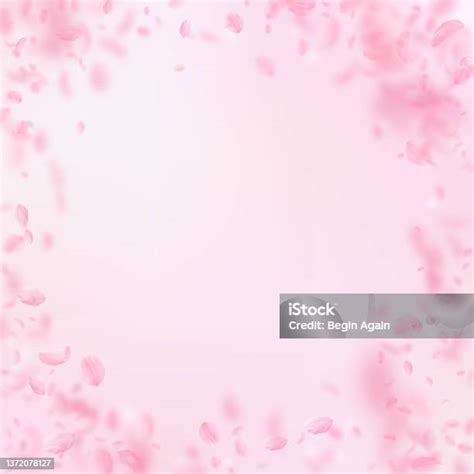 사쿠라 꽃잎이 무너져 내리고 있습니다 로맨틱 핑크 꽃 비네팅 분홍색 사각형 배경에 비행 꽃잎 사랑 로맨스 개념 공정한 결혼식 초대장 0명에 대한 스톡 벡터 아트 및 기타