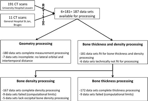 Flowchart Of The Ct Processing In The Study Download Scientific Diagram