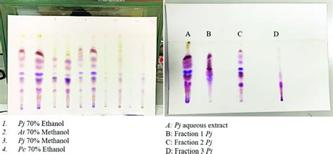 A Thin Layer Chromatography Development Of Different Plant Extracts Download Scientific
