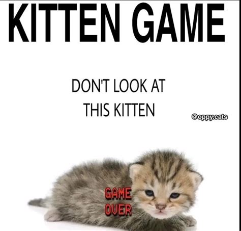 Kitten Game Rule R196