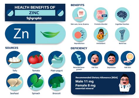 The Importance Of Zinc And Its Natural Sources