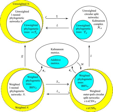 The Sets And Functions In This Paper Two Types Of Unweighted Networks