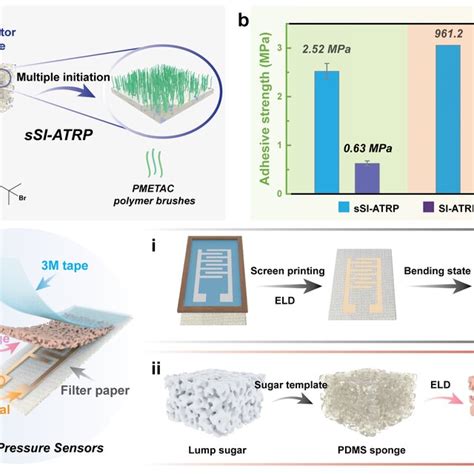 Fabrication Of 3d Cu Sponge Prepared By Ssi Atrp And Pressure Sensor
