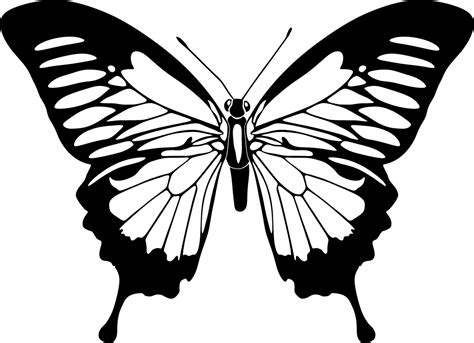 Бабочки для срисовки черно белые 73 фото