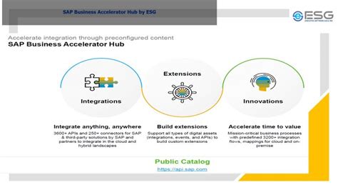 Sap Business Accelerator Hub By Esg Executive Software Guild Inc
