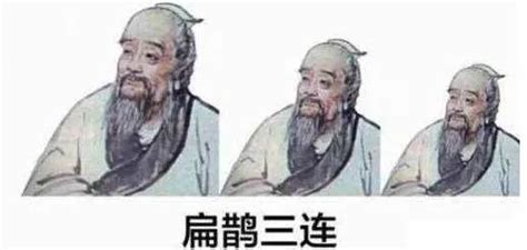 扁鹊三兄弟和 DAN全球的故事 哔哩哔哩