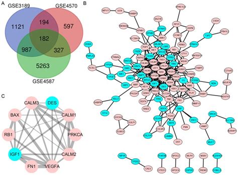 Identification Of Prognostic Biomarkers For Malignant Melanoma Using