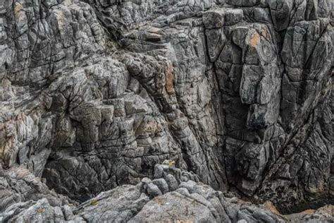 Free Images Tree Geology Rock Formation Intrusion Bedrock Plant
