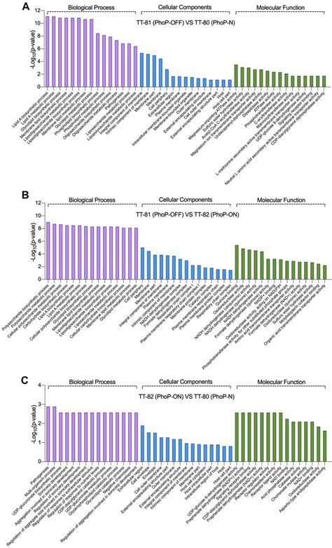 The Histogram Of Go Classification Regarding The Biological Process Download Scientific Diagram