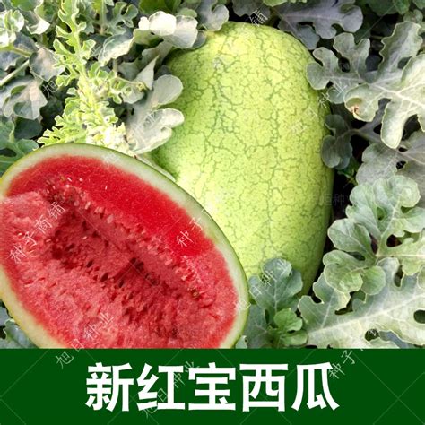 西瓜种类大全介绍50种西瓜的图片及名称美都与8424哪个好吃第11页大山谷图库