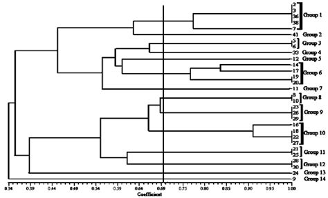 The Dendrogram Showing Similarities Among Restriction Fragment Length