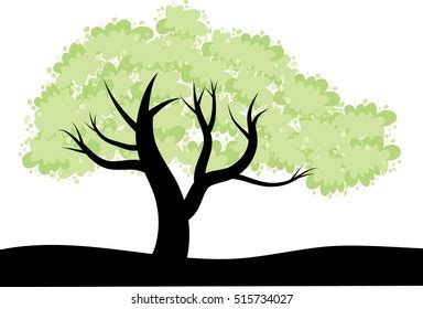 Vector Drawing Tree Detailed Vector Stock Vector Royalty Free 150719621 Shutterstock
