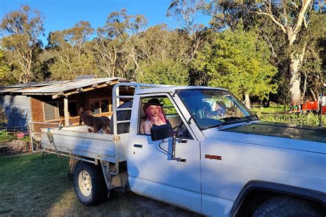 Super Realistic Pink Haired Tall Sex Doll Zariah Cm Zlovedoll