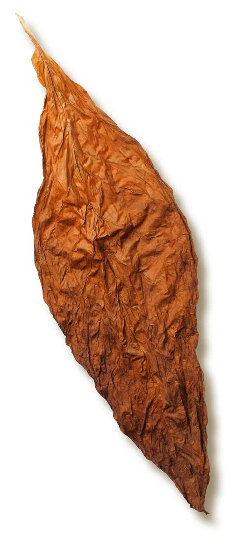 What Is Air Cured Tobacco Total Leaf Supply Blog