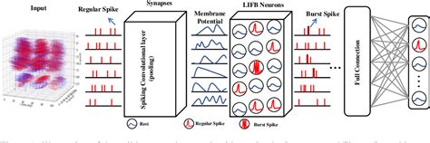figure 1 from exploiting high performance spiking neural networks with