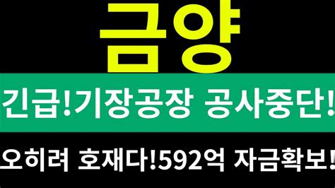 금양 긴급 기장 공장 공사중단 오히려 호재다 592억 자금 확보 금양금양주가금양주식목표주식투자대응방법차트매매매수매도기장공장공사중단자금