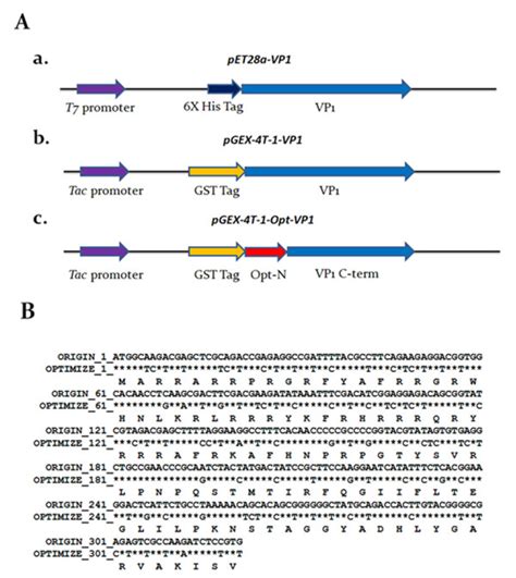 Cva Wolf Trigger Assembly Diagram Wiring Site Resource