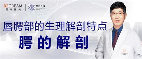 唇腭部的生理解剖特点之腭的解剖（二） 知乎