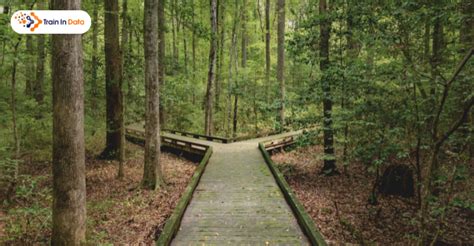 Tuning Random Forest With Grid Search Train In Datas Blog