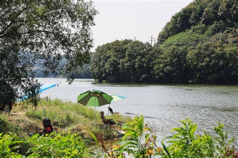 화성 차박 기천저수지 낚시까지 가능한 경기도 노지캠핑 장소 네이버 블로그
