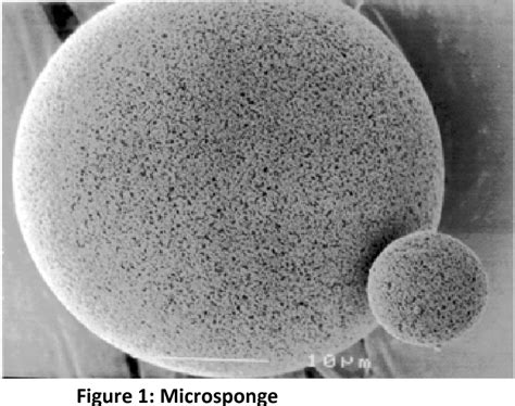 Figure 1 From Microsponges A Novel Drug Delivery System Semantic Scholar