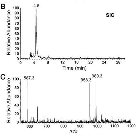 LC MS MS Analysis Of Oligonucleotides Present In RNase A BAP Digests Of Download Scientific