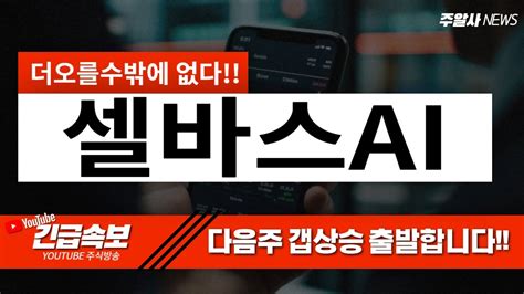 셀바스ai 긴급속보 다음주 갭상승 출발합니다 Youtube