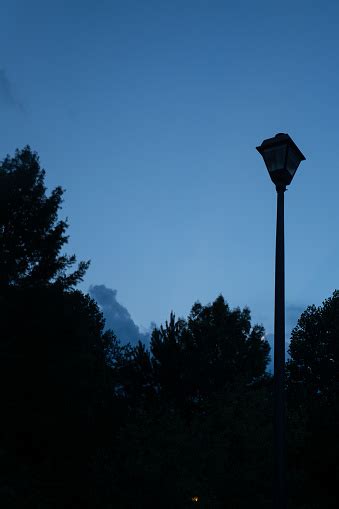복사 및 텍스트 카피 스페이스를위한 빈 방 공간을 갖춘 가로등 기둥과 나무가있는 이웃의 푸른 저녁 밤 시간 하늘 램프 포스트가 켜지지 않음 꺼져 있지 않습니다 0명에 대한