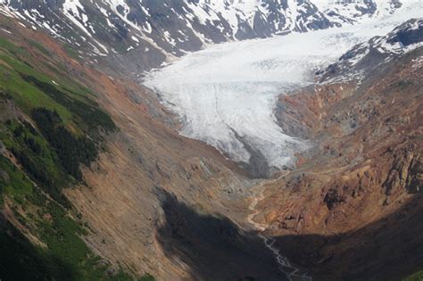 Solving The Selenium Problem