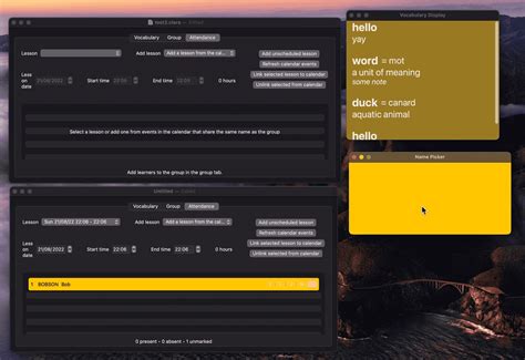 Macos Using State Variables With Document App While Mulitple