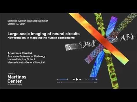 Free Video Large Scale Imaging Of Neural Circuits New Frontiers In