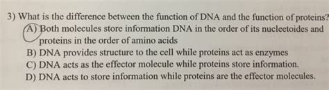 Solved 3 What Is The Difference Between The Function Of DNA Chegg Com