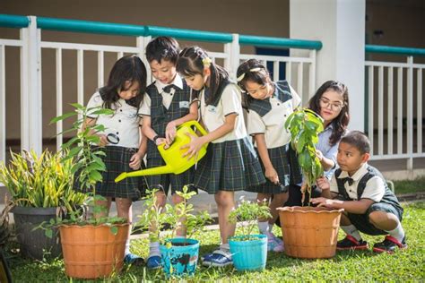 Detail Gambar Memelihara Lingkungan Koleksi Nomer