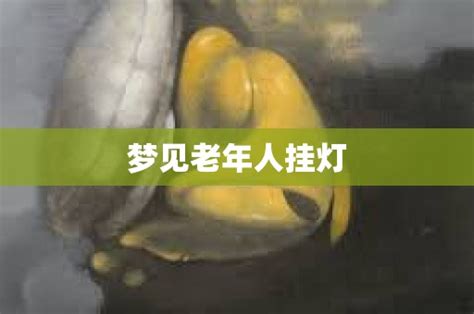 梦见老年人挂灯 命理解梦