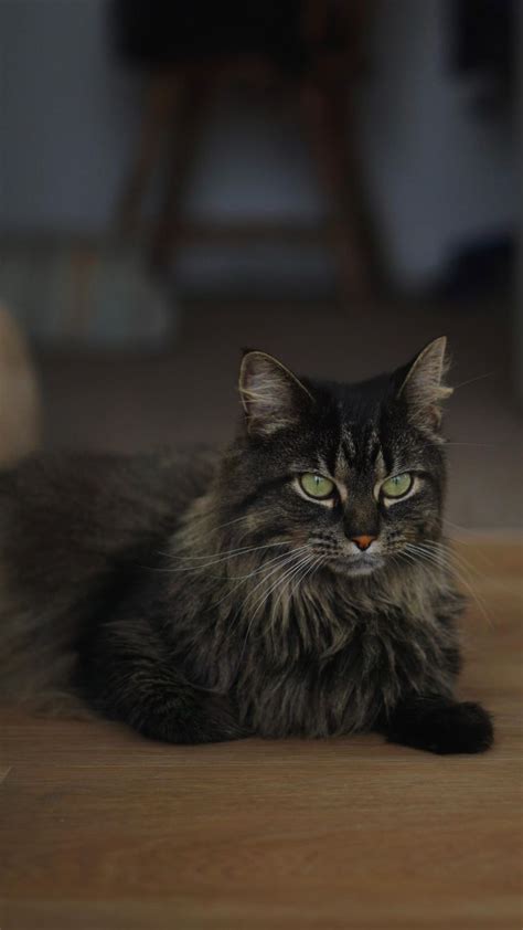 Leadershipinsights Workplacerecognition Asktheexpert Elevative Recognition Teamdevelopment