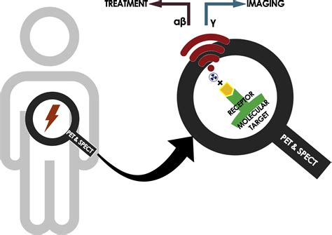 General Concepts In Theranostics Pet Clinics