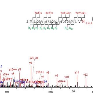 MS MS Fragment Ion Spectrum Of The De N Glycosylated And Deamidated Download Scientific Diagram