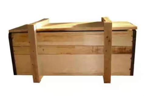 Sick Sex Robot Made To Look Like A 12yr Old Girl Goes On Sale For 770 And Comes In A Coffin